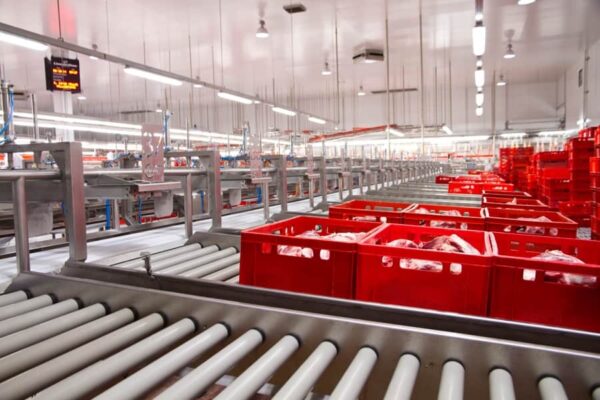 Cinco Villas - Patel